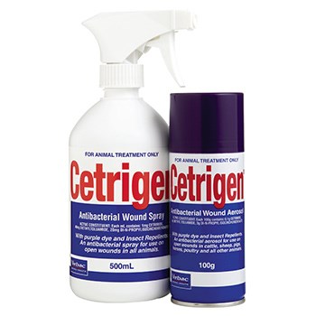 Buy Cetrigen Antibacterial Wound Spray 500ml | Grays Australia