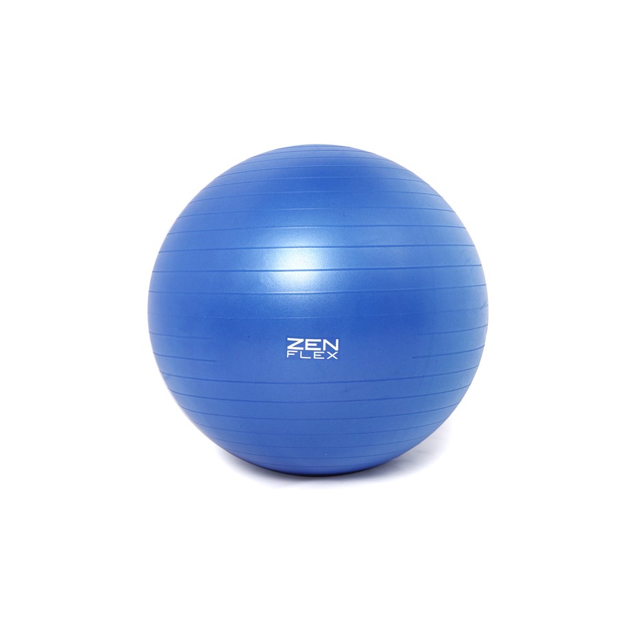 Buy Zen Flex Fitness PVC Yoga Exercise Ball - Blue - Large | Grays ...