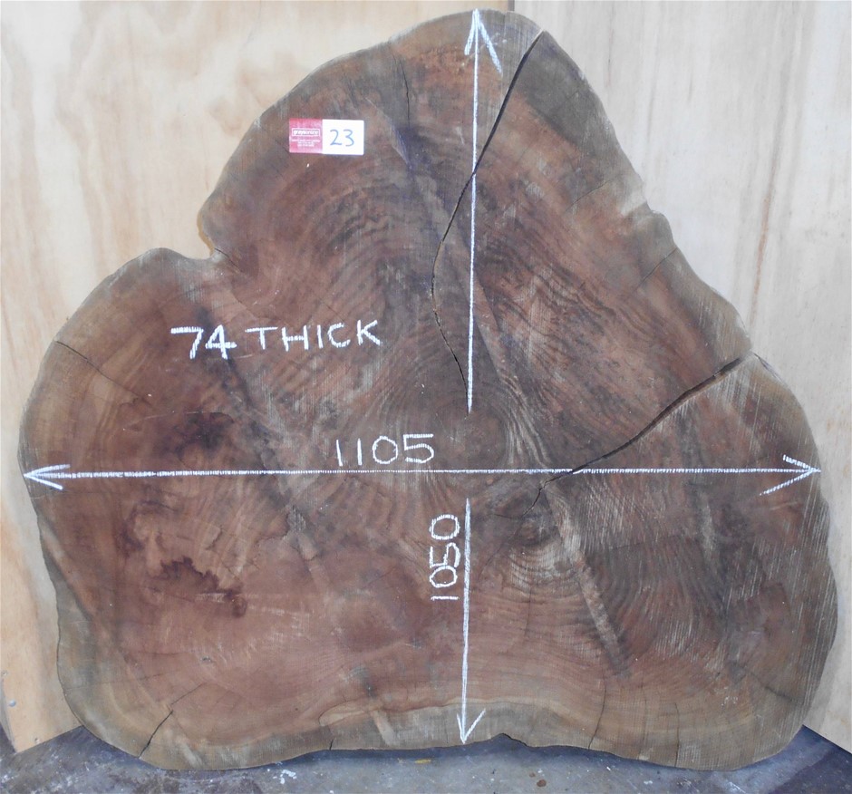 Large Cross Cut Table Slab - Camphor Laurel Auction (0023-5047011 ...