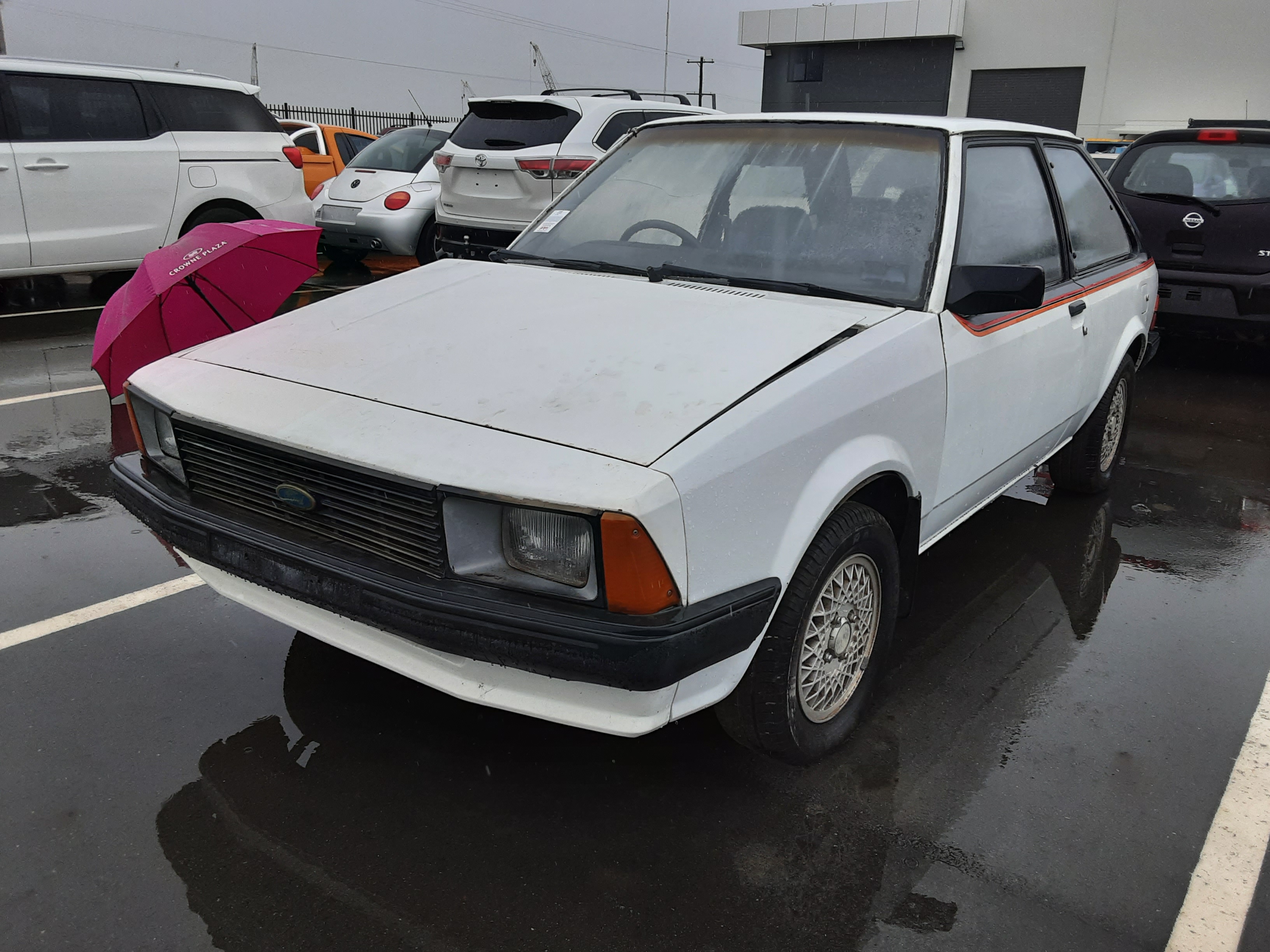 1982 Ford Laser Sport KA Manual Hatchback Auction (0001-50008397 ...
