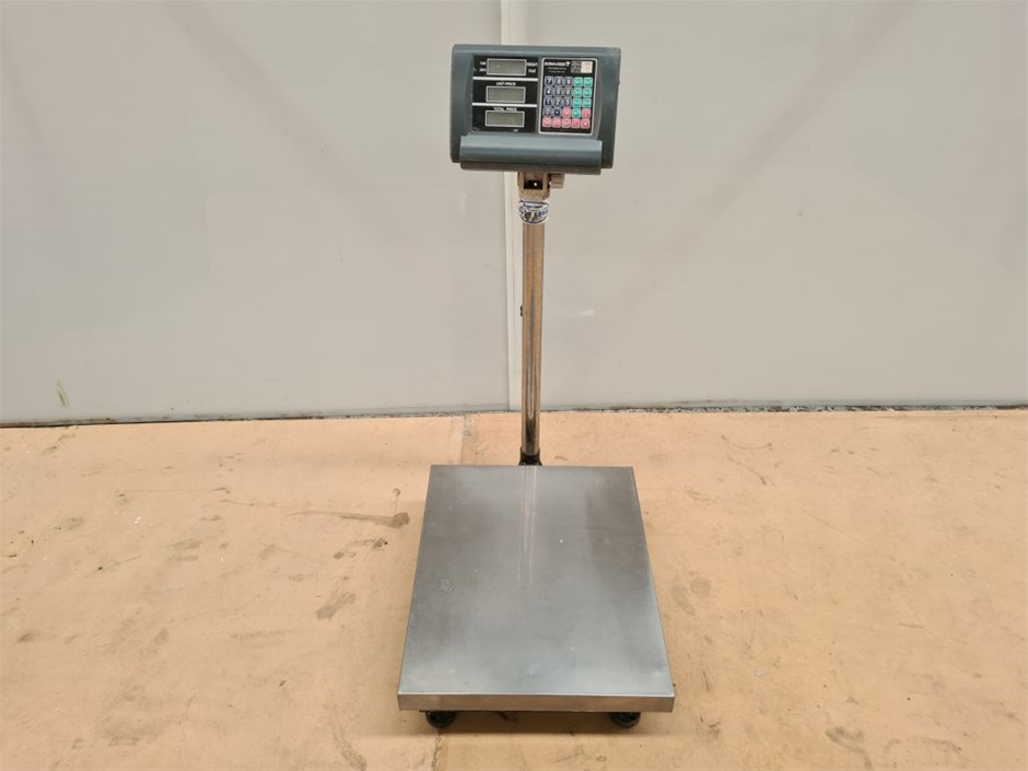 Wedderburn Iwb-150 Platform Floor Scale 60/15kg Auction (0026-5050938 ...