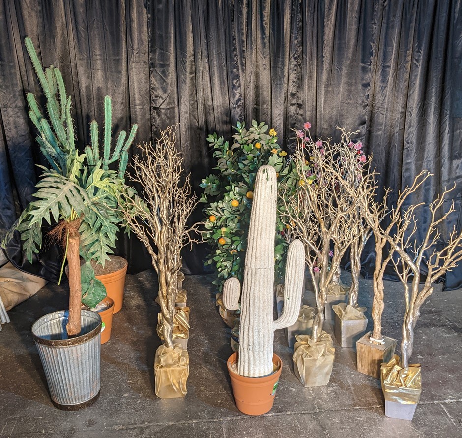 Various Plants & display trees Auction (0002-2548680) | Grays Australia