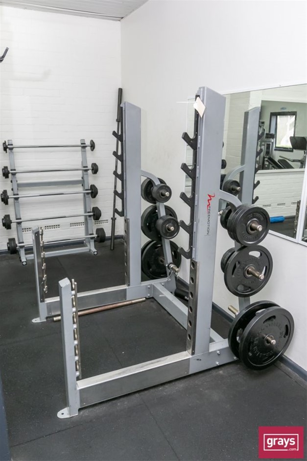 Freemotion Squat Plate Weight Machine Auction (0039-5053253) | Grays ...
