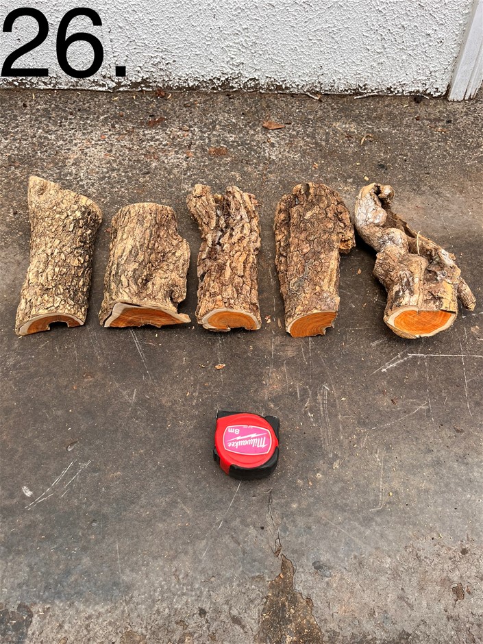 5 x Conkerberry Branch Pieces Auction (0026-5051592) | Grays Australia