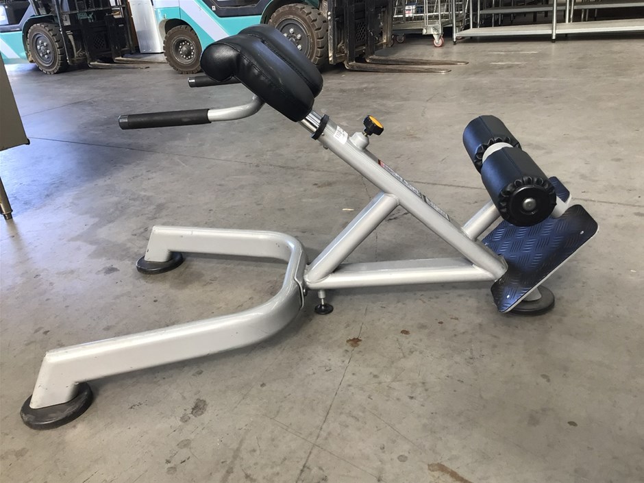 Synergy 45 Degree Back Extension Bench Auction (0021-3024511) | Grays ...