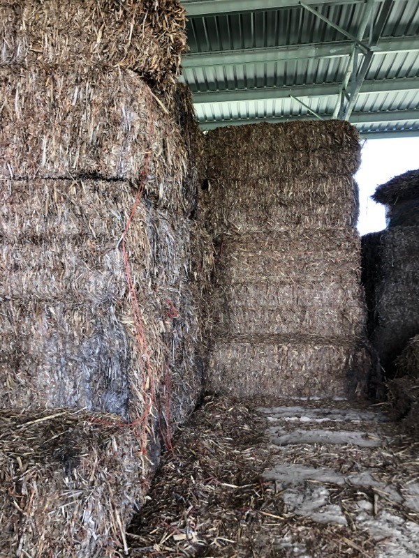 Qty 200 8x3x3 Large Square Bales Auction (0094-7042938) | Grays Australia