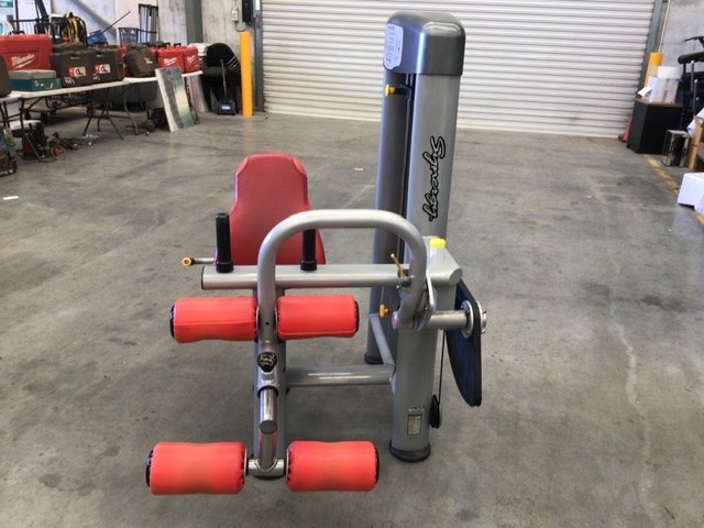 Synergy Seated Leg Curl Machine Auction (0002-9040538) | Grays Australia
