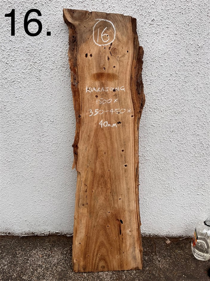 Rare Timber Slab - Kurrajong Auction (0016-5052637) | Grays Australia