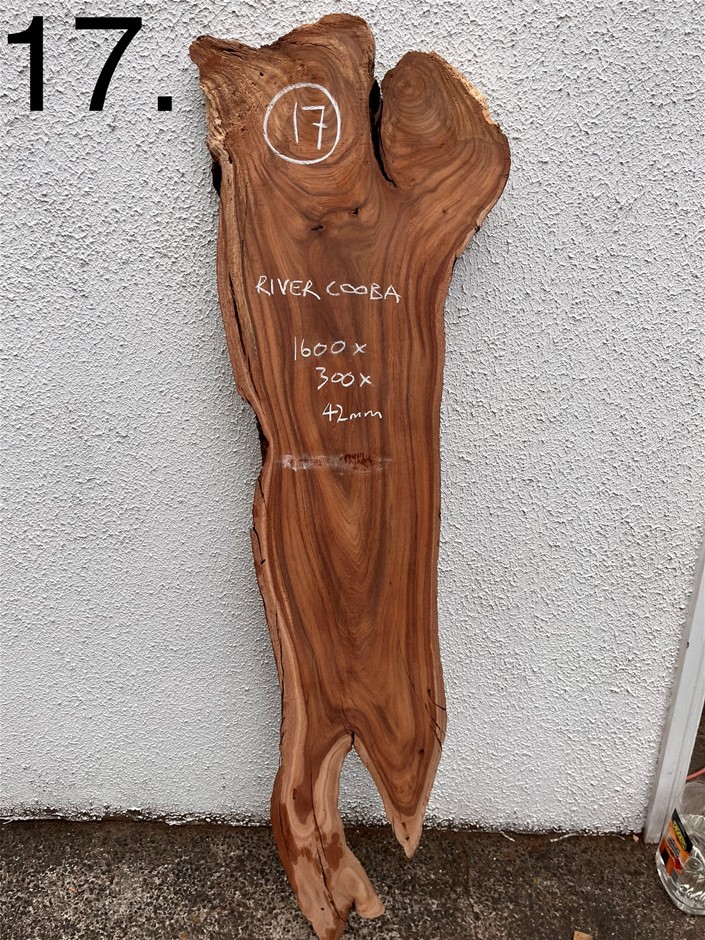 Timber Slab - River Cooba Auction (0017-5052637) | Grays Australia