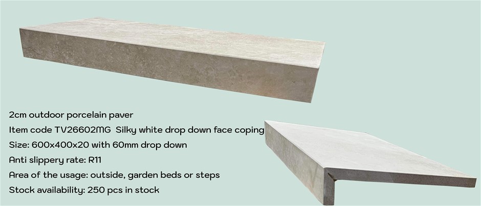 2cm Outdoor Porcelain Drop Down Face Coping Auction (0002-3025876 ...