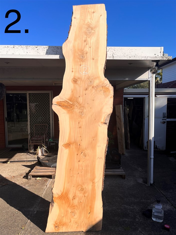 Large Timber Slab -Himalayan Cedar Auction (0002-5053530) | Grays Australia