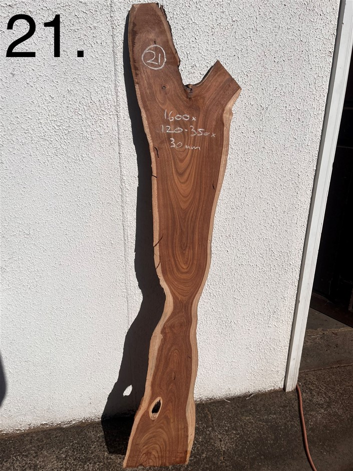 Timber slab - River Cooba Auction (0021-5053530) | Grays Australia
