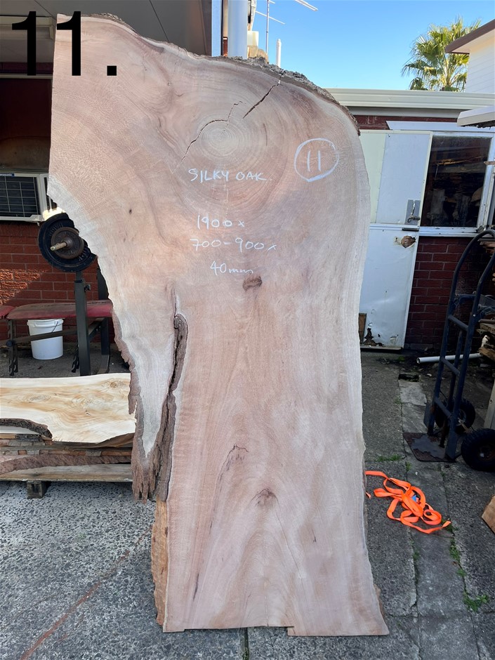 Large Timber Slab -Silky Oak Auction (0011-5053530) | Grays Australia