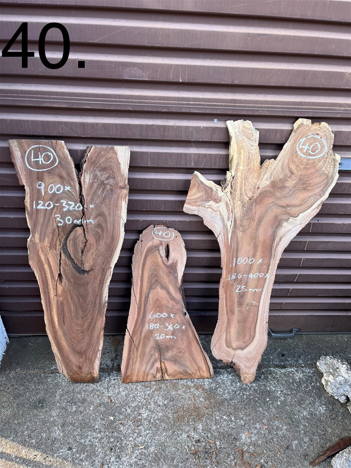 3 x Timber Slab pack - River Cooba Auction (0040-5053530) | Grays Australia
