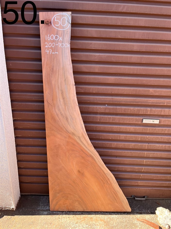Timber slab - African Mahogany Auction (0050-5053530) | Grays Australia