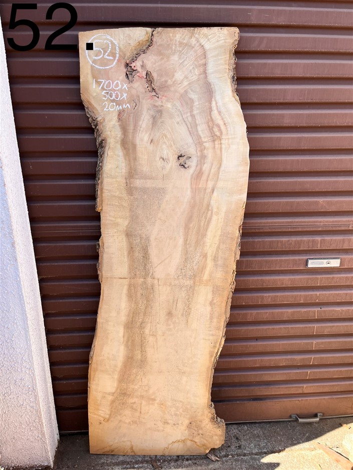 Timber Slab - Maple Auction (0052-5053530) | Grays Australia