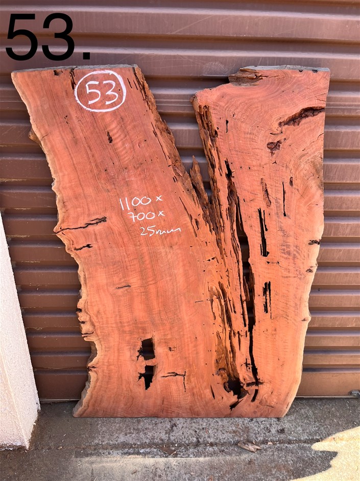 Timber slab - River Red Gum Auction (0053-5053530) | Grays Australia