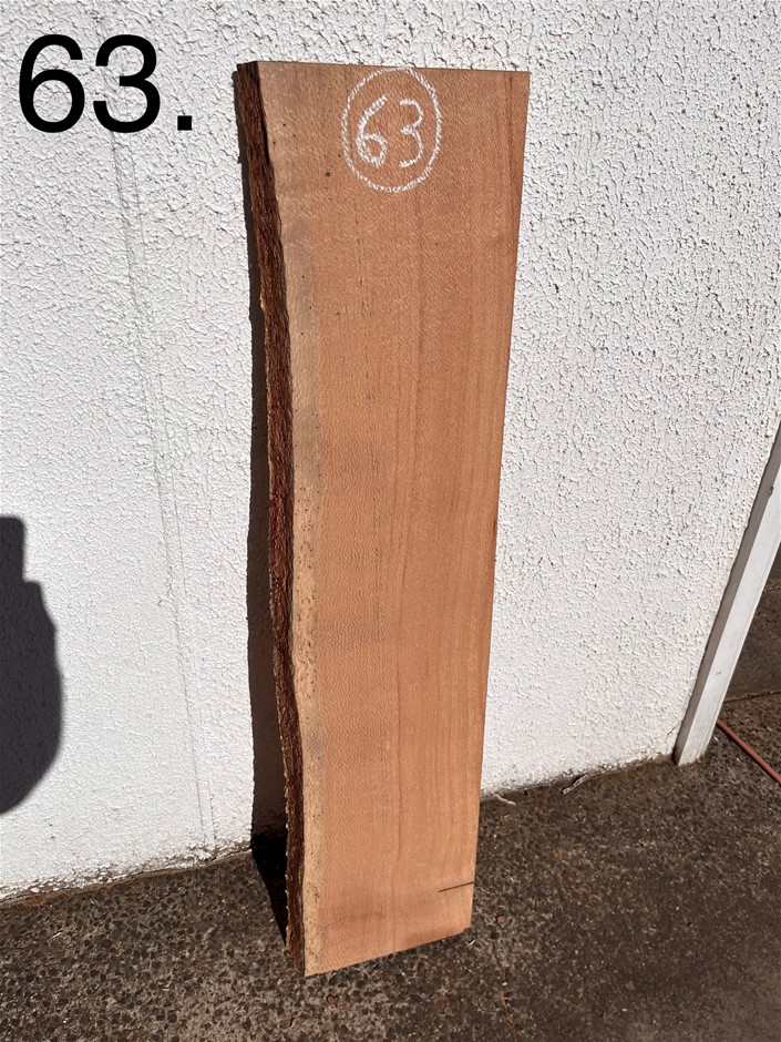 Timber slab - Silky Oak Auction (0063-5053530) | Grays Australia