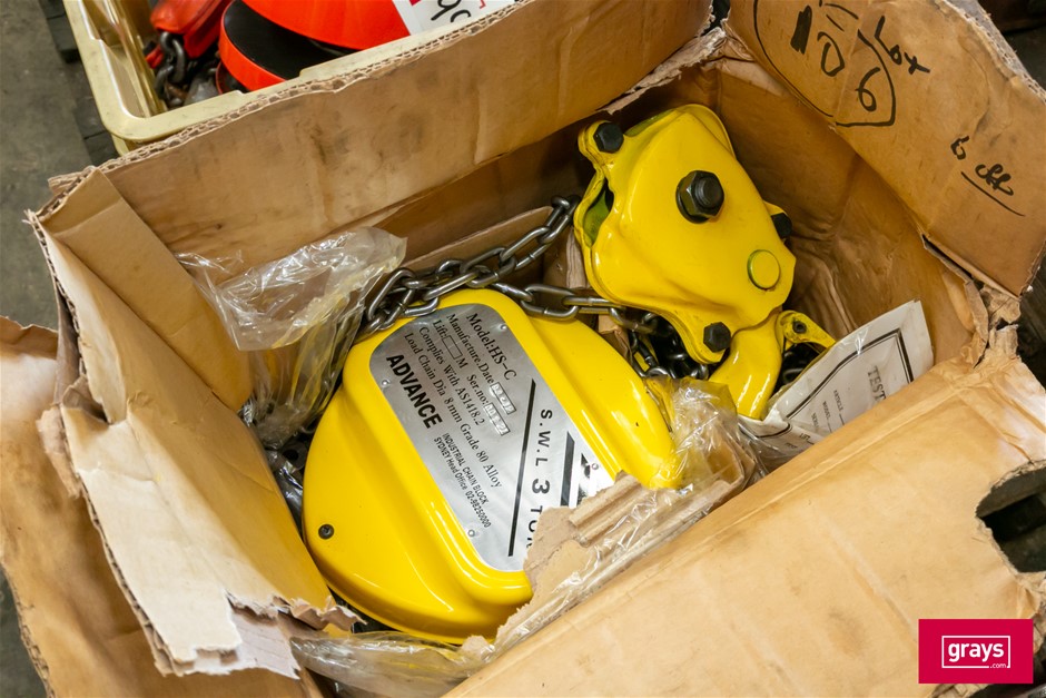 Unused Chain Block (Less Load Chain) Auction (0106-5053639) | Grays ...