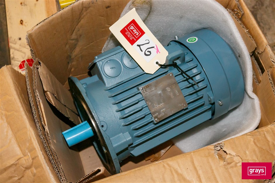 ABB IEC 60034-1 Electric Motor Auction (0026-5054926) | Grays Australia