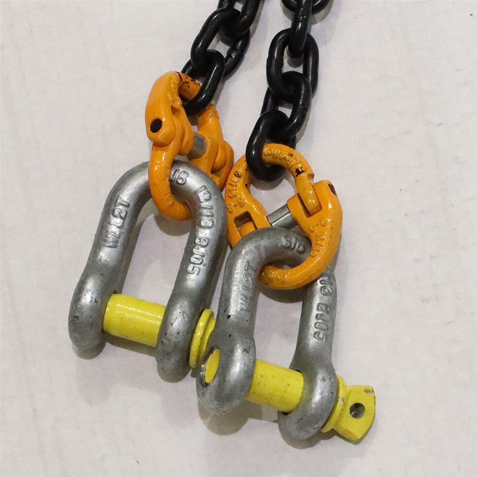 Lifting Chain Sling 2-Leg WLL 1900kg x 1.2M c/w Shorteners and Dee ...