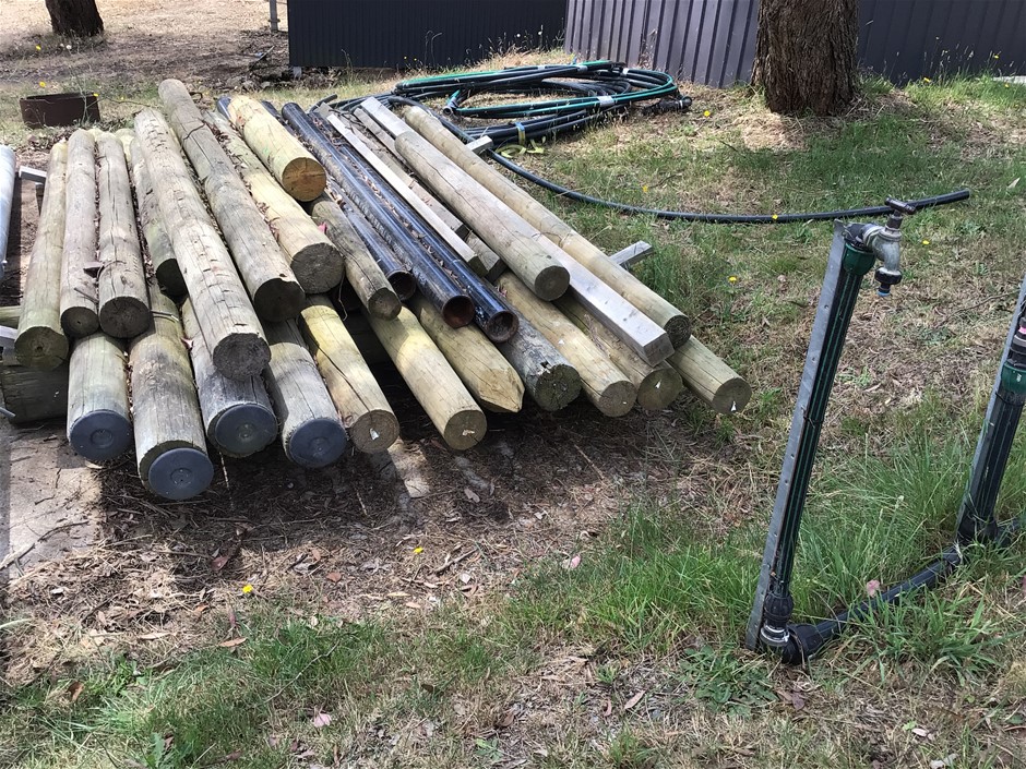Quantity of Treated Pine Posts Auction (0048-3027775) | Grays Australia