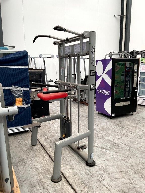 1x Synergy Assisted Chin Up/Dip Machine Auction (0034-3028048) | Grays ...