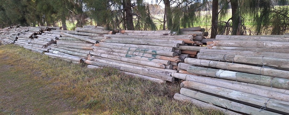 Approximately 1000 x Used Pine Posts Assorted Lengths 2m+ Auction (0003 ...