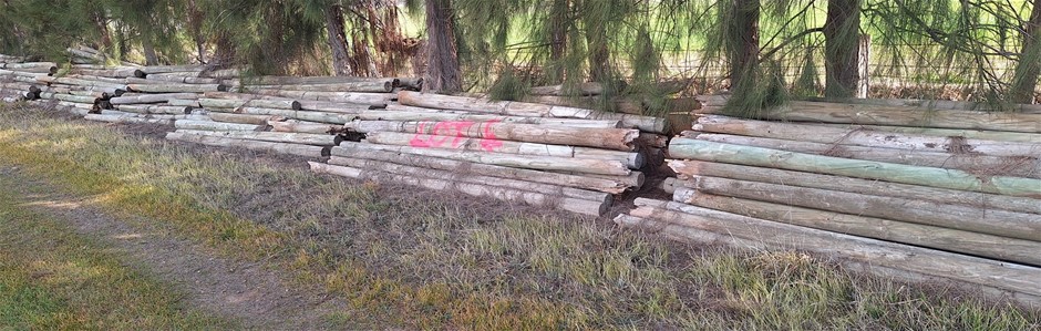 Approximately 1000 x Used Pine Posts Assorted Lengths 2m+ Auction (0004 ...