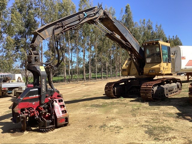 2001 Tigercat 845B Feller Buncher Auction (0002-9055564) | Grays Australia