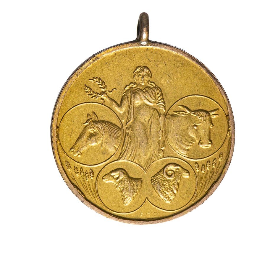 1931 NZ Wairarapa & East Coast P.&A. Society Champion 9ct Gold medal ...