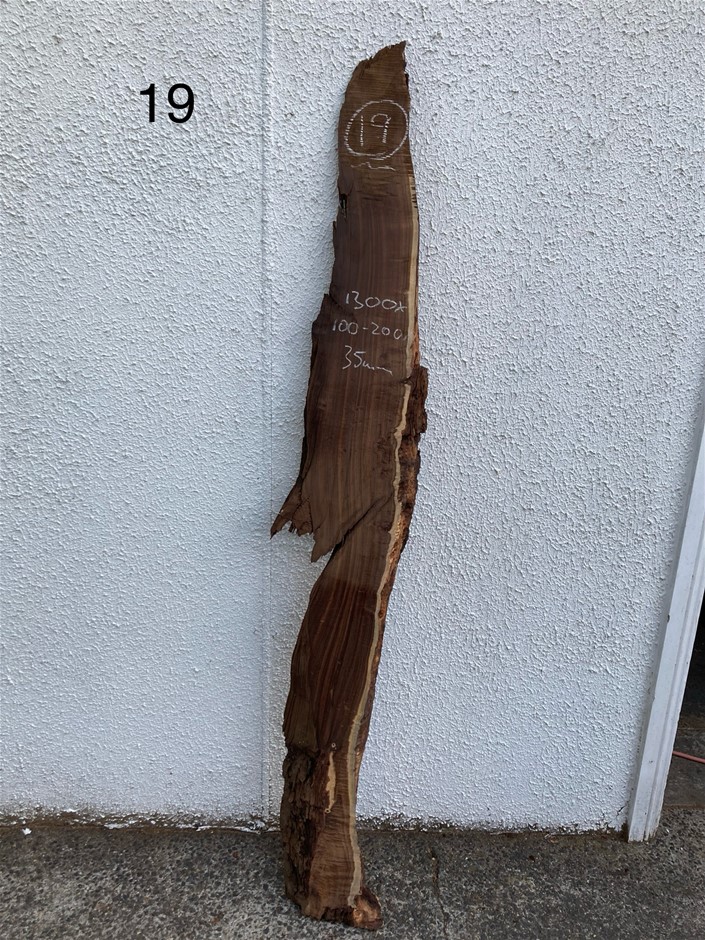 Gidgee Timber Slab Auction (0019-5058044) | Grays Australia