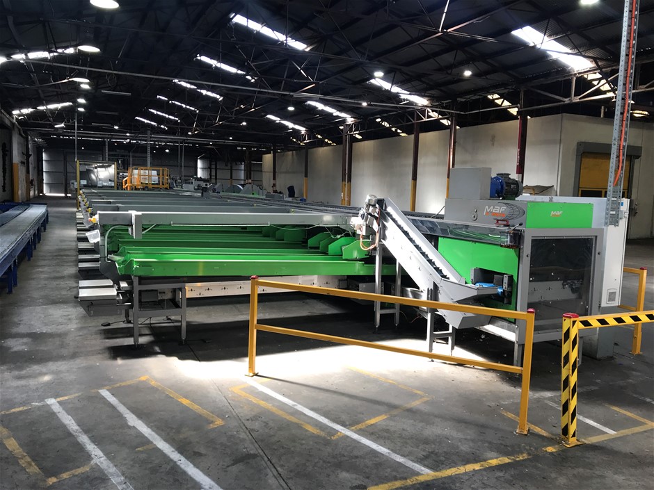 MAF Fruit Grading and Packing Line Auction (0006-3031071) | Grays Australia