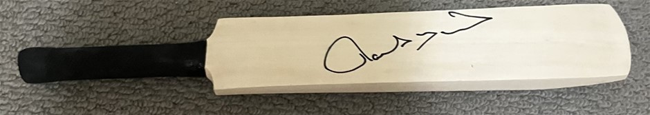 MATTHEW HAYDEN SIGNED CRICKET BAT Auction (0020-2563578) | Grays Australia