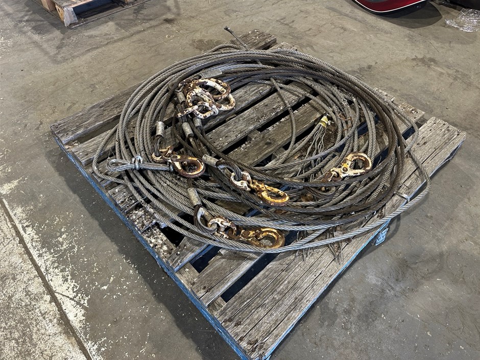 Four Leg Lifting Kit with Cable Auction (0175-3033988) | Grays Australia