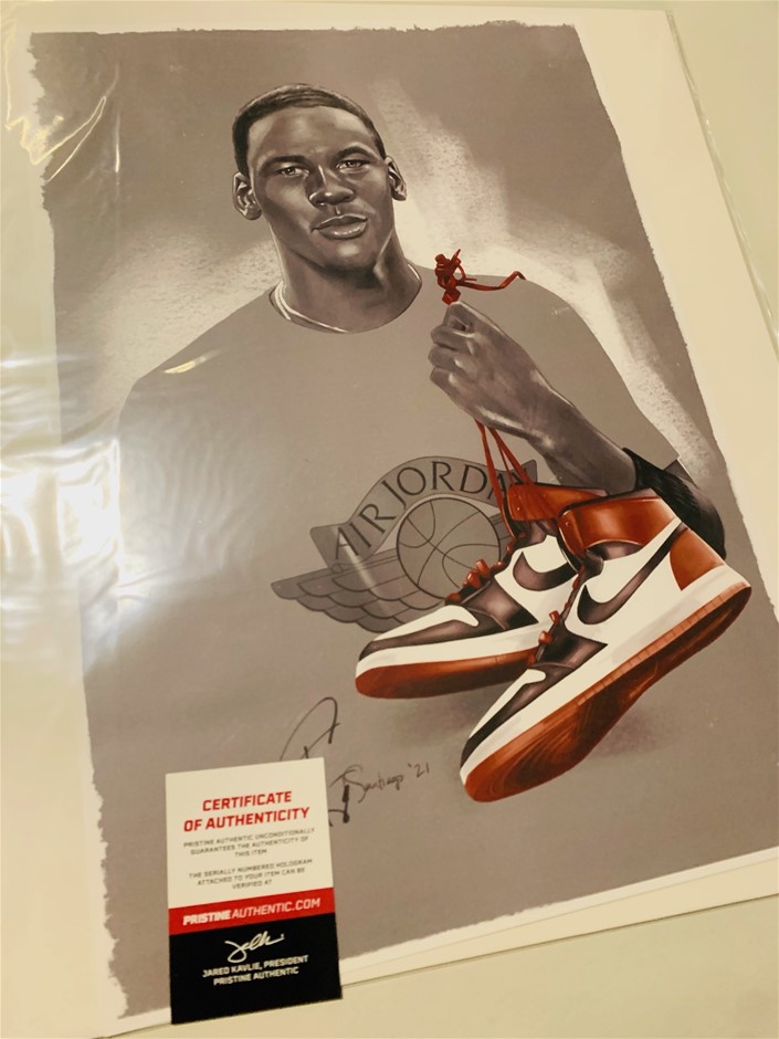 “Michael Jordan" Air Jordan , signed 13x19 inch Lithograph by Tony ...