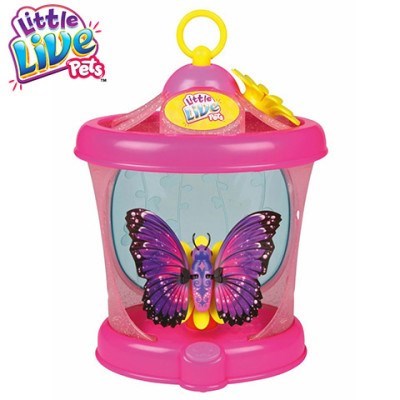 Buy Little Live Pets My Butterfly House | Grays Australia